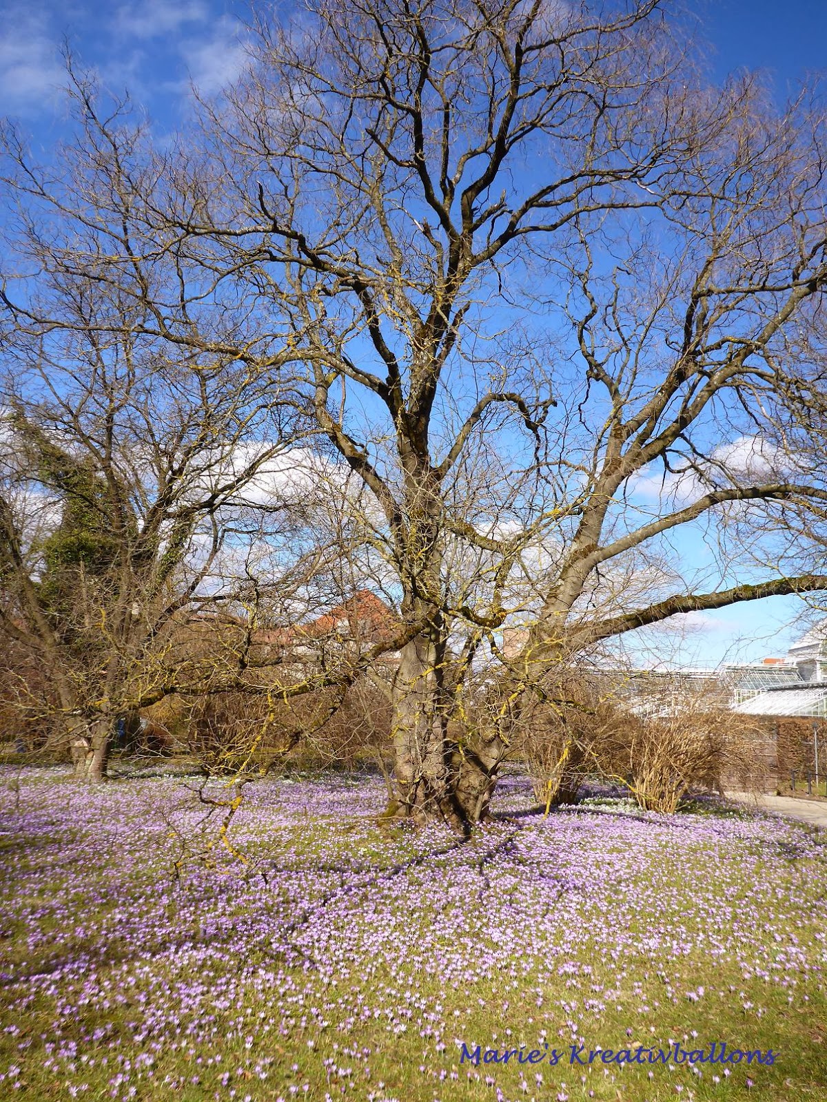 ♥ Frühlingsbilder ♥