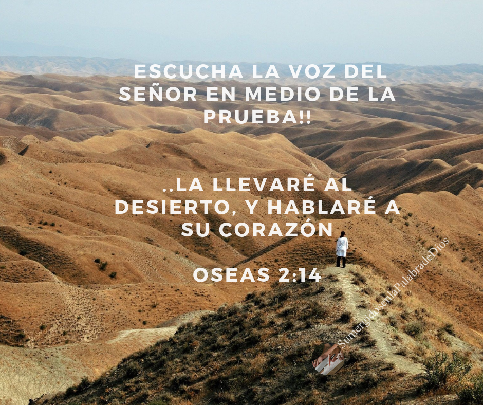 Imagenes con citas biblicas/Oseas 2:14