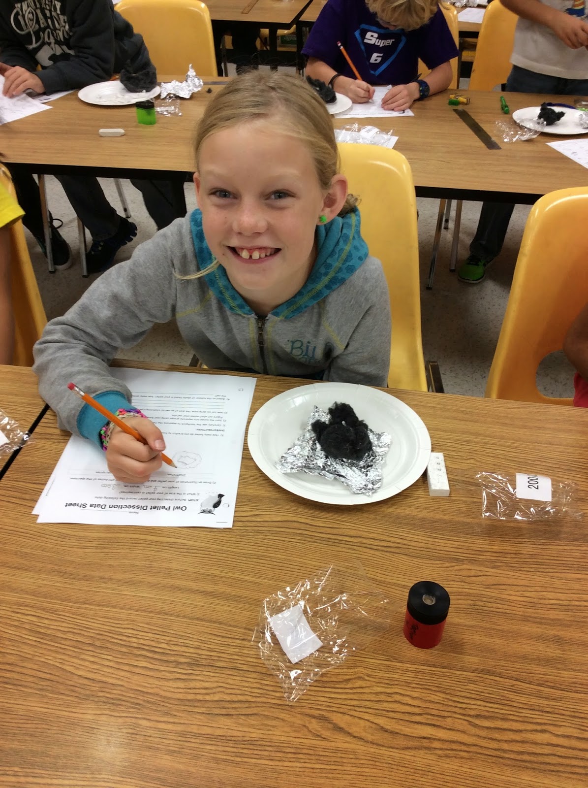 Miss Komar's Blog: Owl Pellets