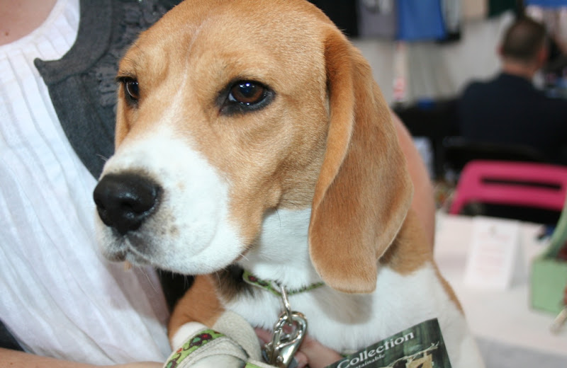 Ours for a Year: July 2011