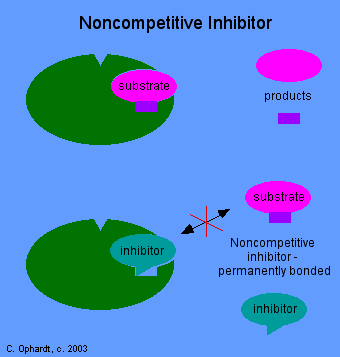 PHARMACOLOGY: Enzyme Inhibition