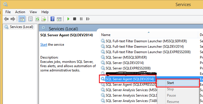 Ssrs Ssrs The Sql Agent Service Is Not Running