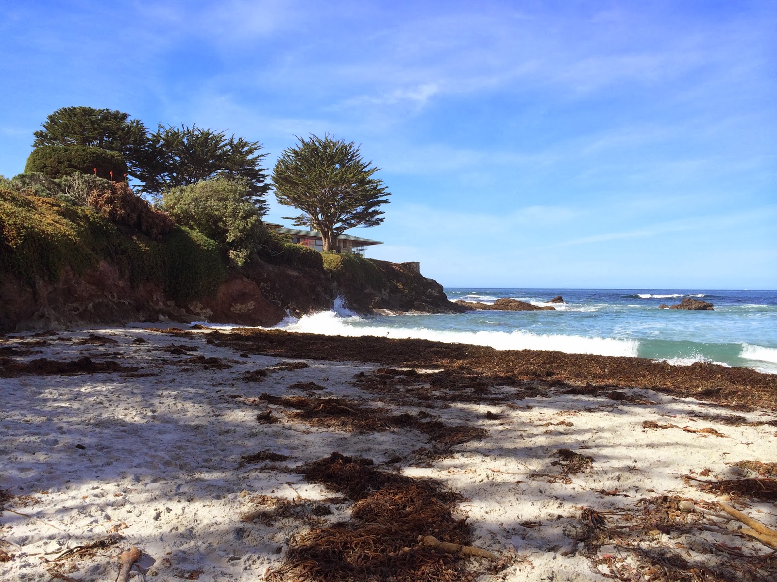 February in Carmel & Home - Northern California Style