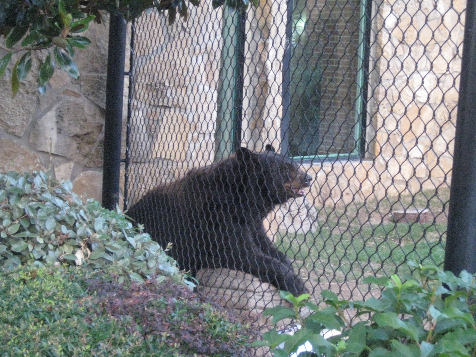 My Life's Rigabamboo: 2012