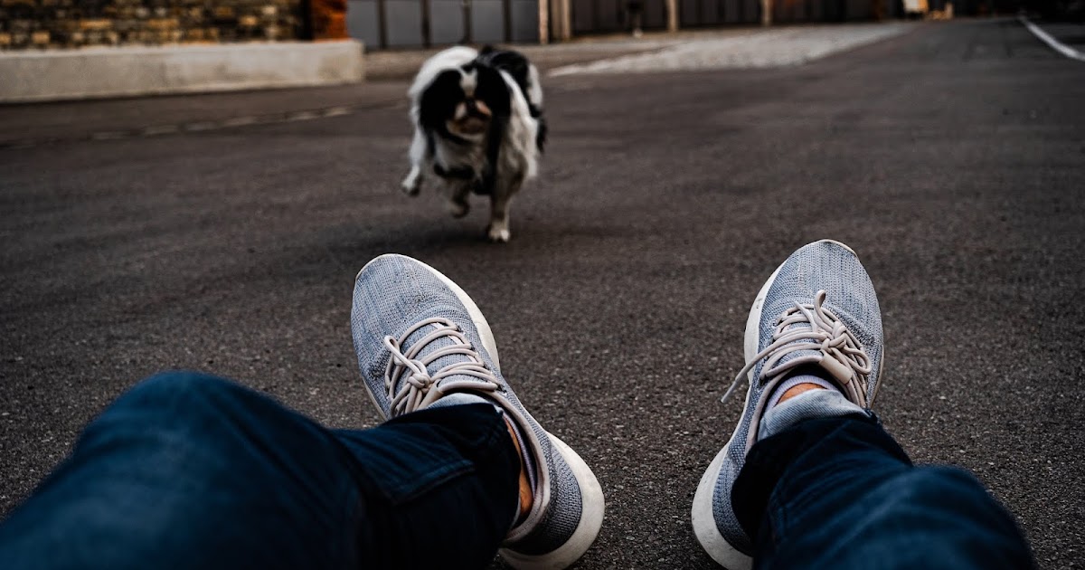 "Shake a leg" nghĩa là gì?