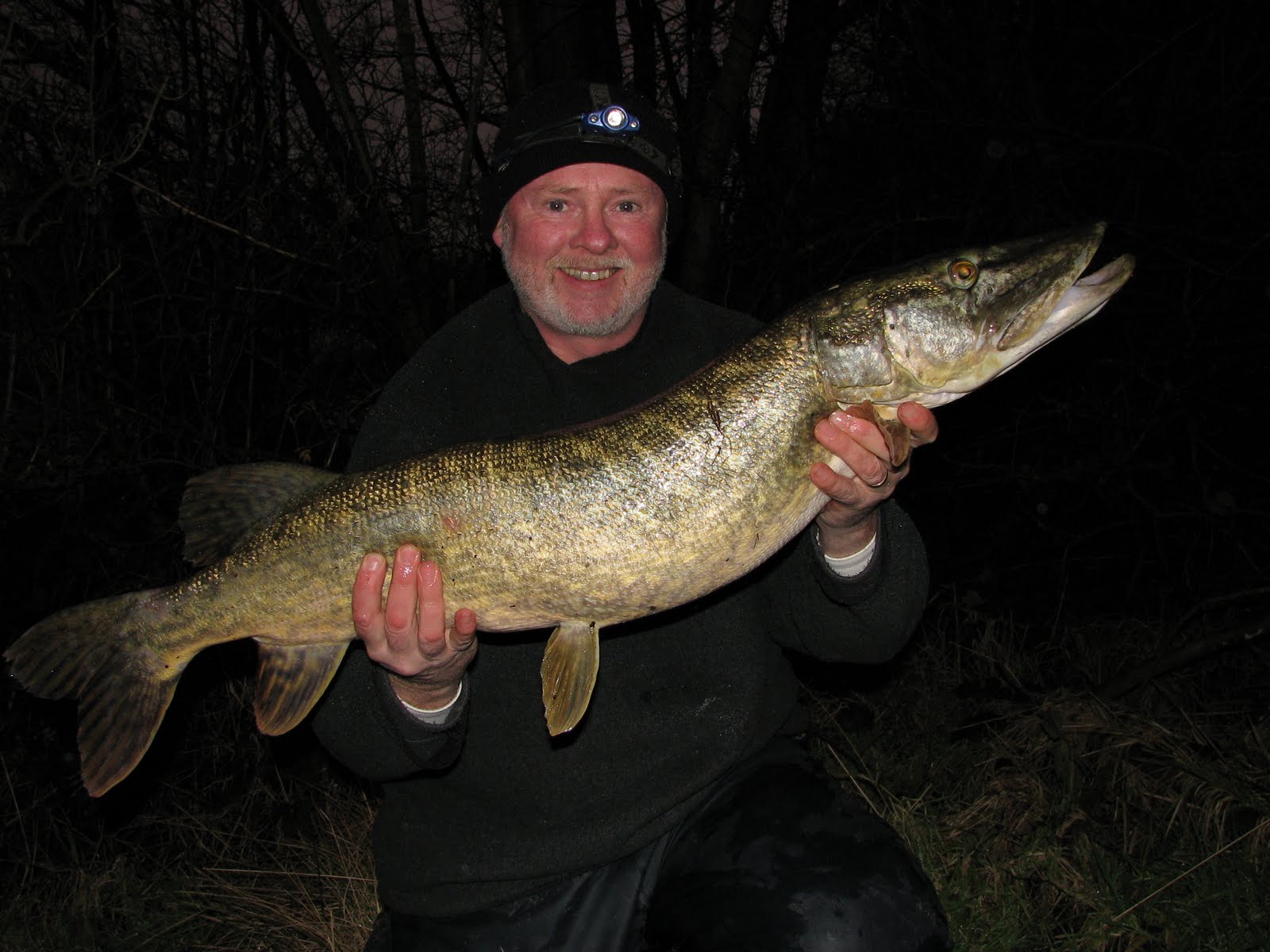 Pike Fishing UK: Backyard Fishing