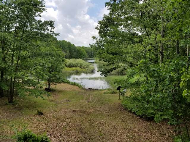 8351 Lakeview, Harrison Springwood Lake Waterfront Home