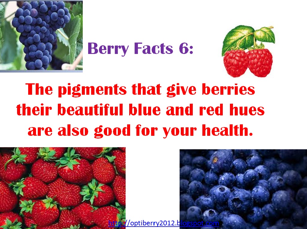 Unleashing The Power of Berries: July 2012