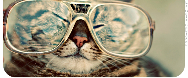 ¡Vuelve La Gata Sabionda! ~ La Gata Sabionda