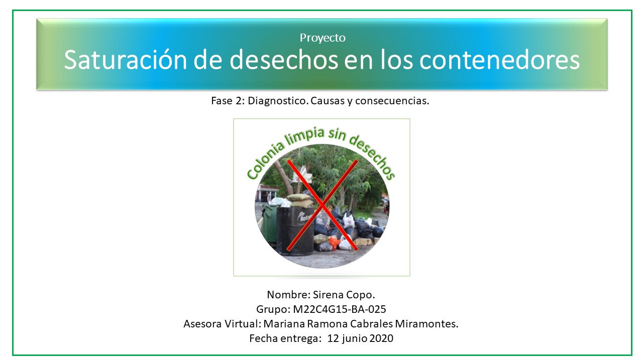 Sirena Copo Line: Actividad integradora Fase 2 Diagnostico Causas y consecuencias módulo 22