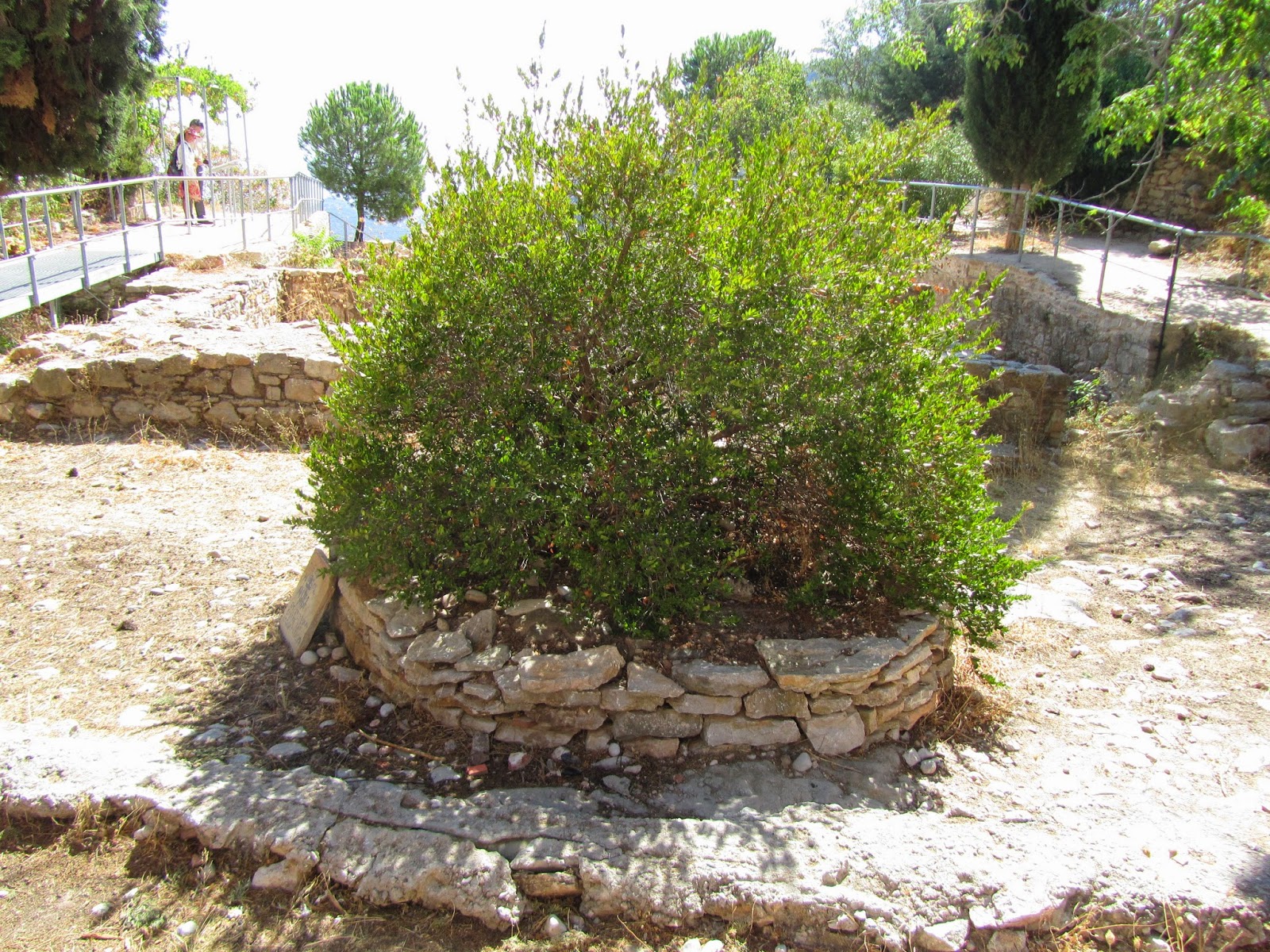 Παλαιοχώρι Λέσβου : Σεπτεμβρίου 2013