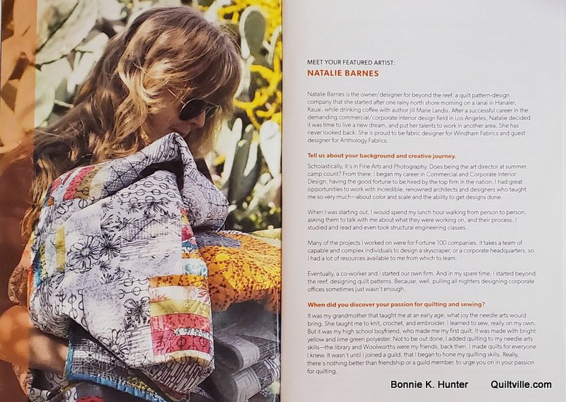 Quiltville's Quips & Snips!!: November 2020 Quilty Box Gift-Away!