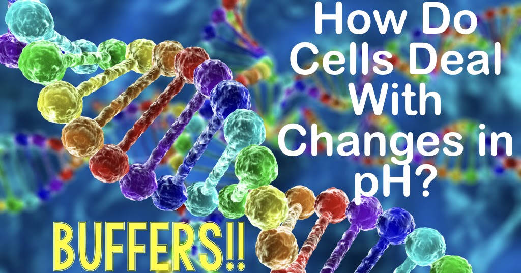 Amy Brown Science: How Do Living Cells Deal With Changes in pH?