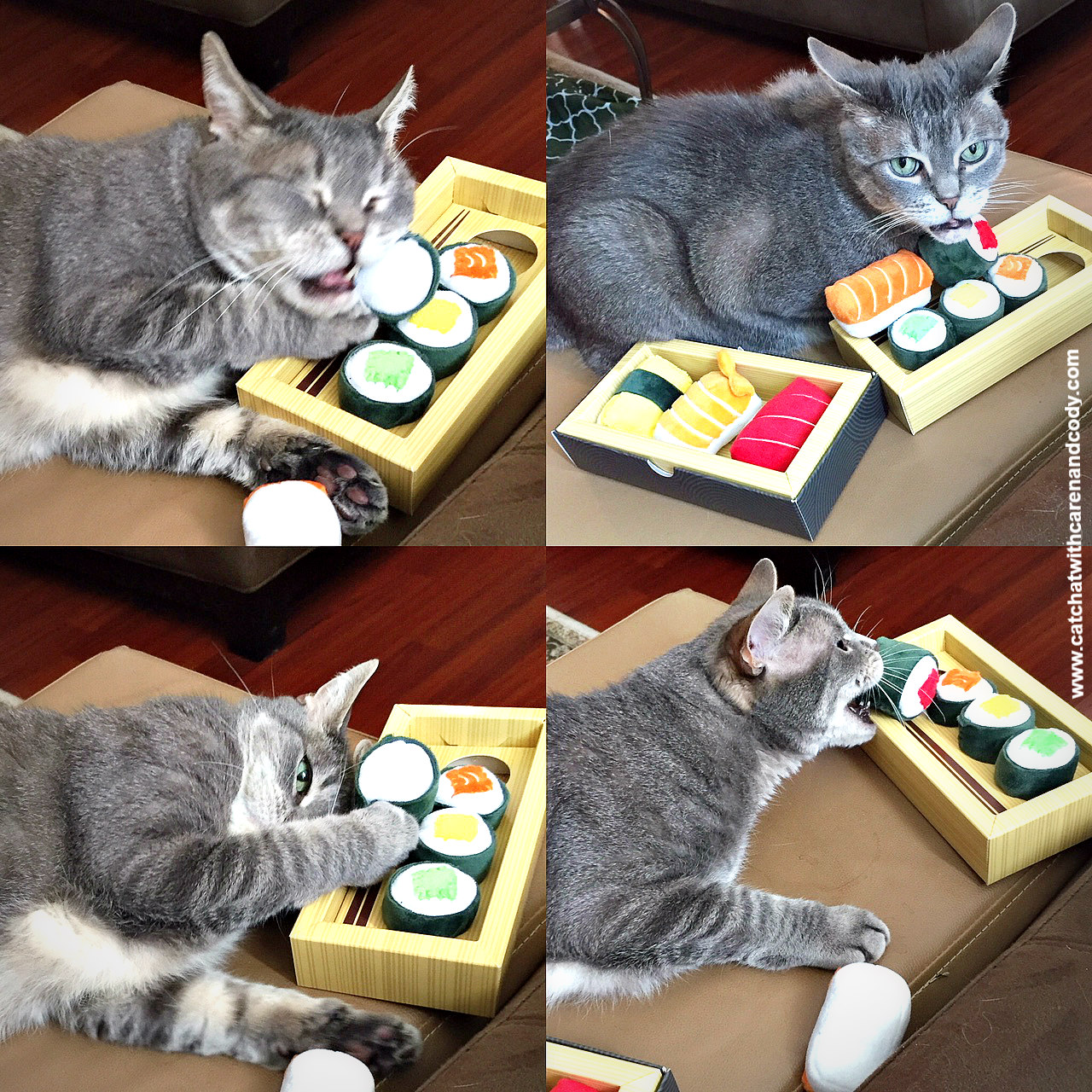 Cat and DOG Chat With Caren: Cat Toys: A Munchiecat Valentine's Day ...