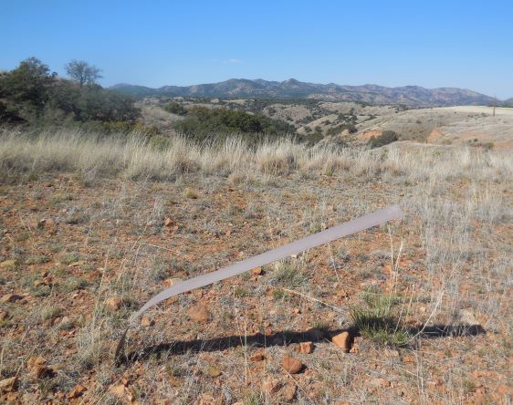 June is the Cruelest Month