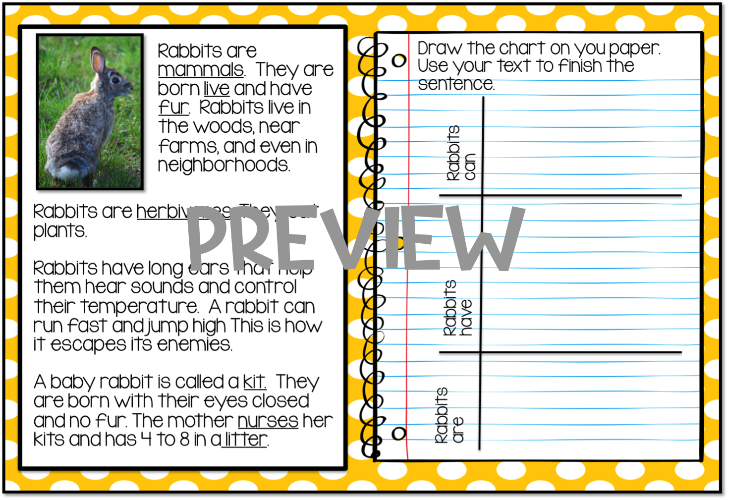 1st Grade Hip Hip Hooray!: Chicks and Bunnies ... Using informational ...