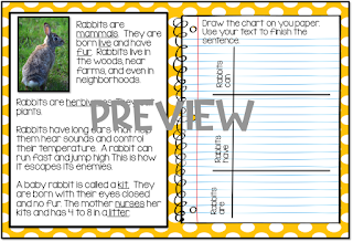 1st Grade Hip Hip Hooray!: Chicks and Bunnies ... Using informational ...