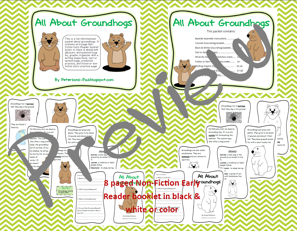 Peterson's Pad: All About Groundhogs!