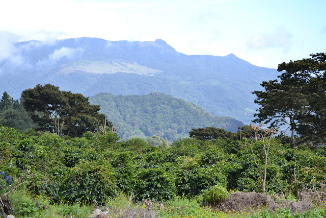 El Rincón De Fotos De Panamá Boquete