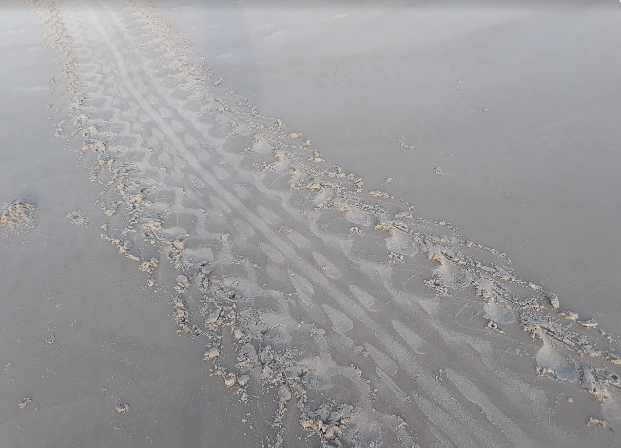 Cocoa Beach Pictures: Sea Turtle Tracks Canaveral National Seashore
