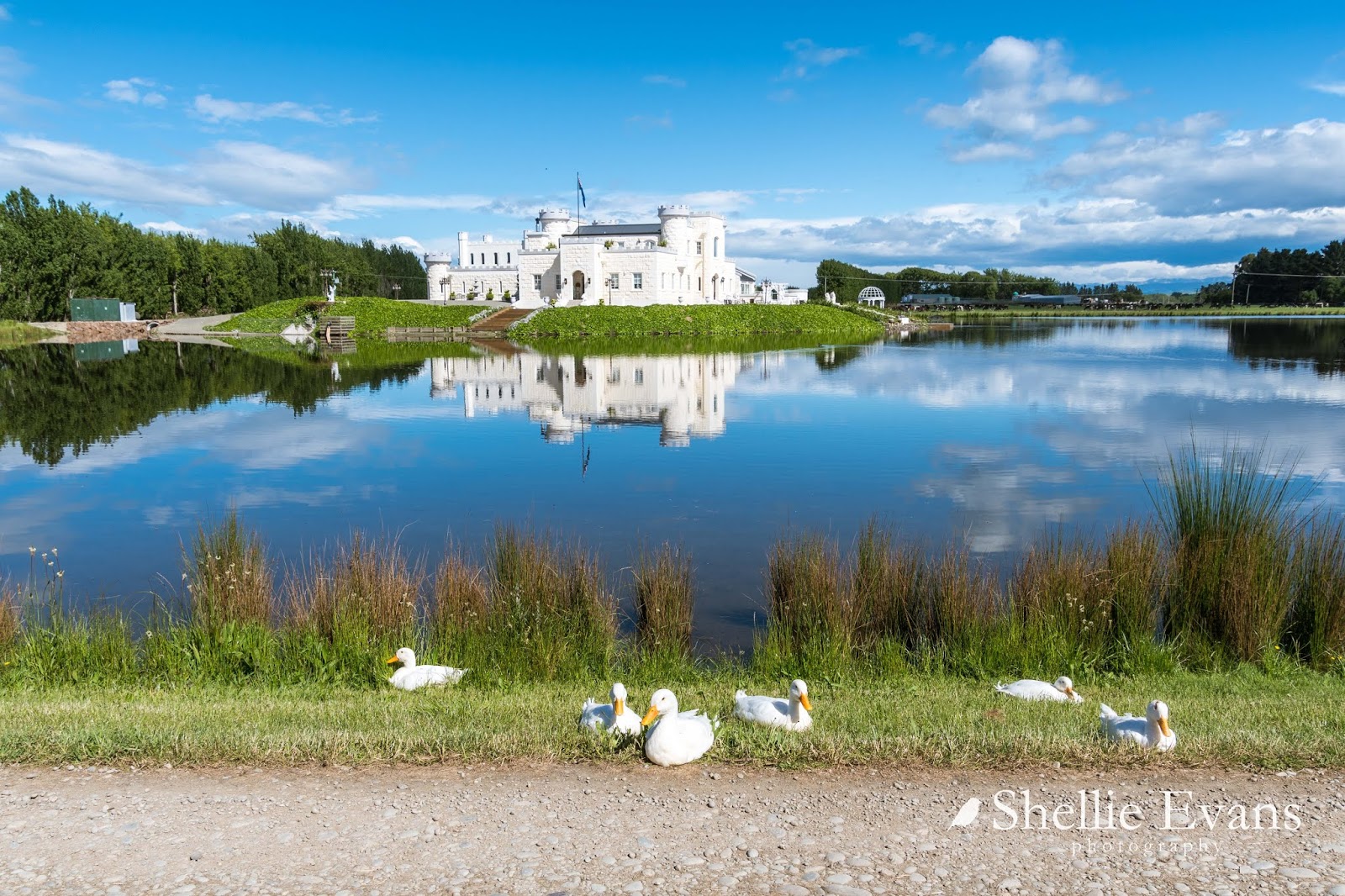 Two Go Tiki Touring: Queen of the Castle- Riverstone Castle