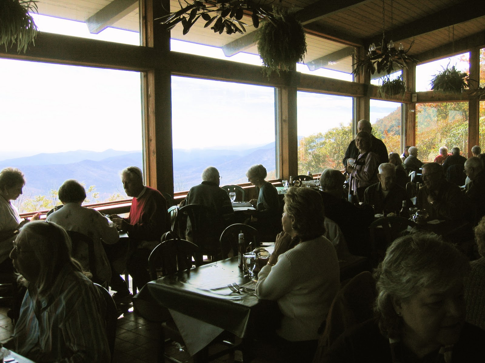 Smoky Mountain Cabbage: The Road To The Pisgah Inn