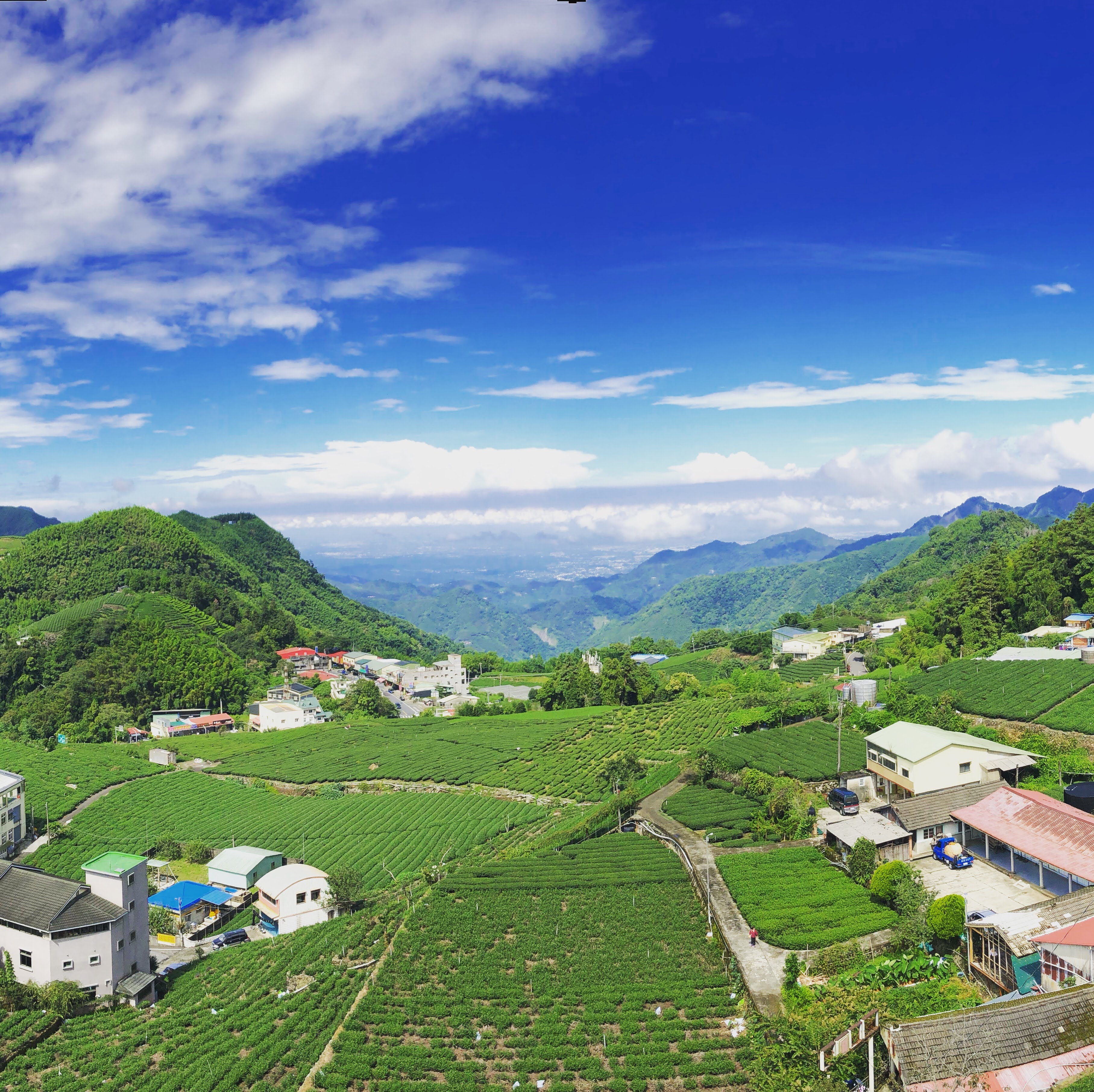 Travel Adventures A Visit To Alishan ~ The Rn Phd Mom