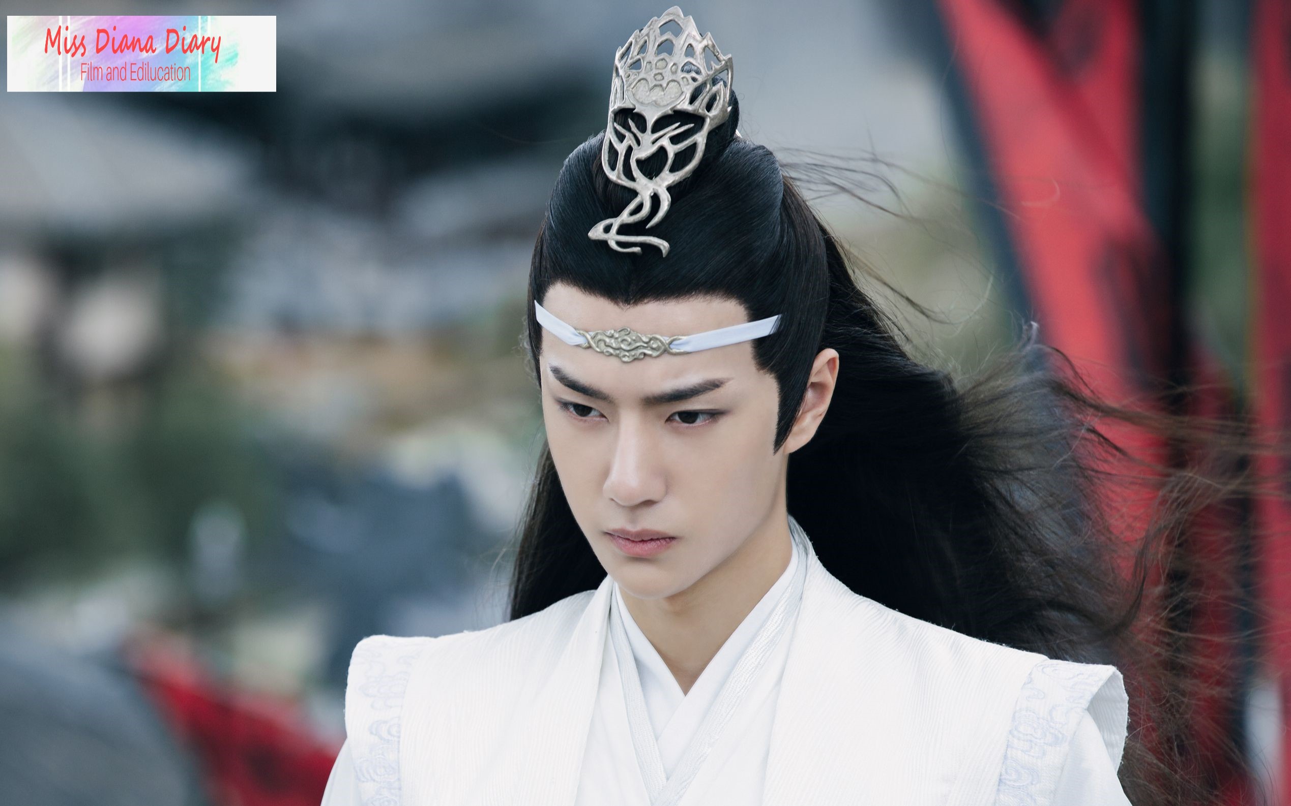 Wang Yi Bo ( 王一博 )