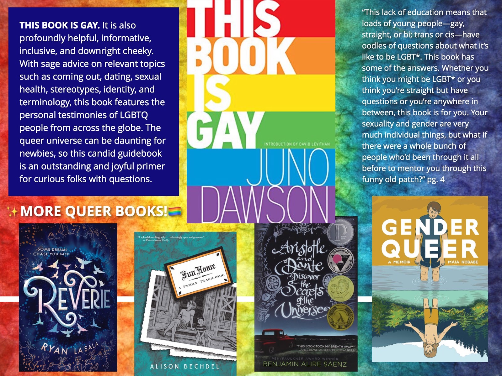 This Book Is Gay (Reader's Advisory)