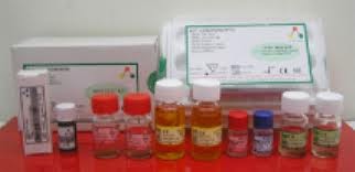 PEMERIKSAAN SIFILIS METHODE TPHA ( TREPONEMA PALIDUM HEMAGLUTINASI ...