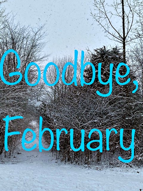 Jayne's Quilting Room: Goodbye, February