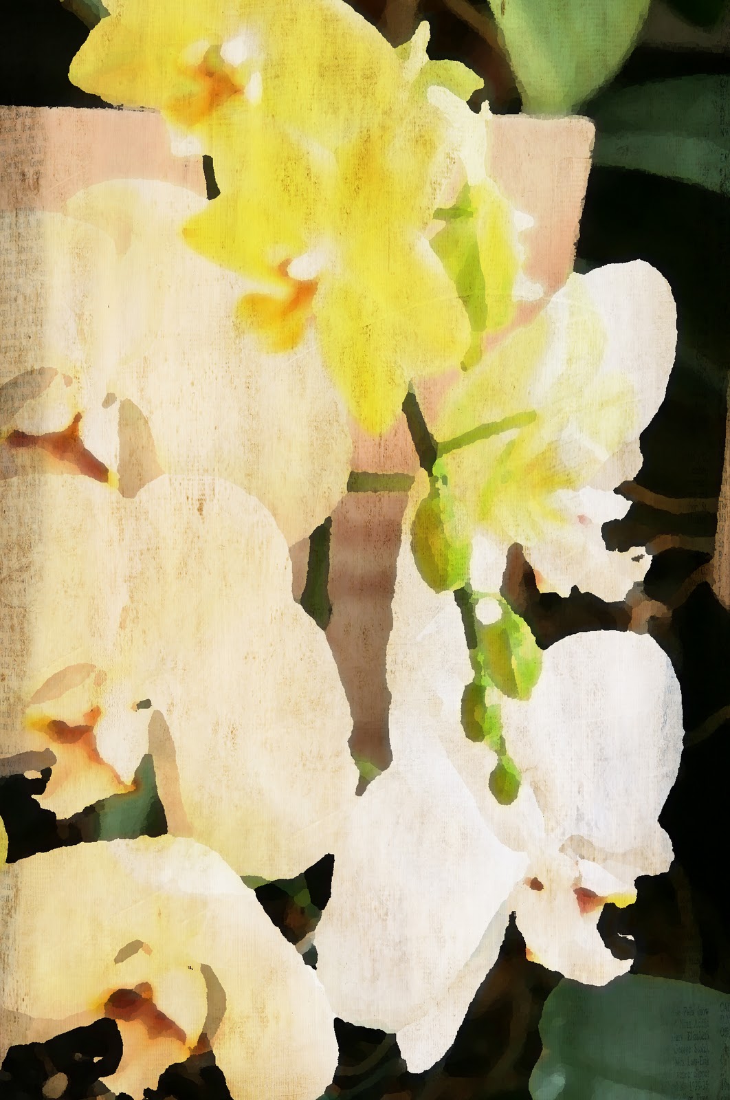 Rosebud Quilting: Texture Tuesdays-orchids & cactus