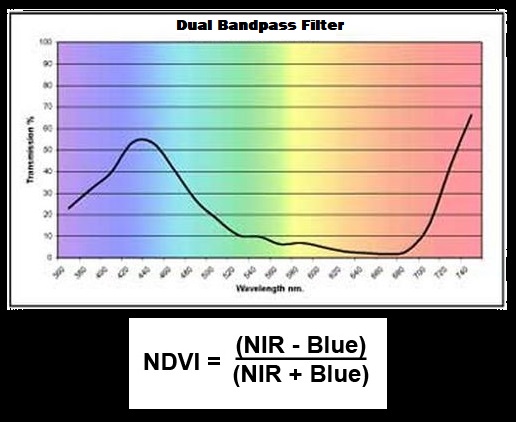 MuonRay: Plotting for Scientific and Engineering Applications Using Python