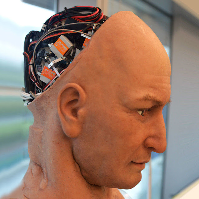 Discover about Hanson Robotics Robot Company - Town of Technology