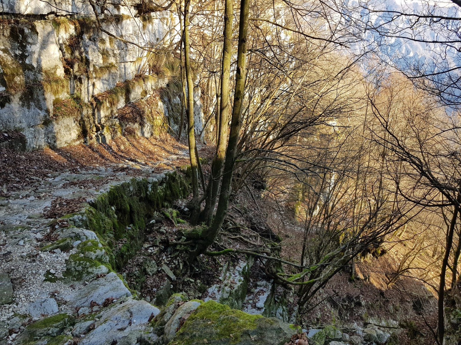 Su strade e sentieri: COL D'ASTIAGO (m. 1.241) - SENTIERO DEL VU - Val ...