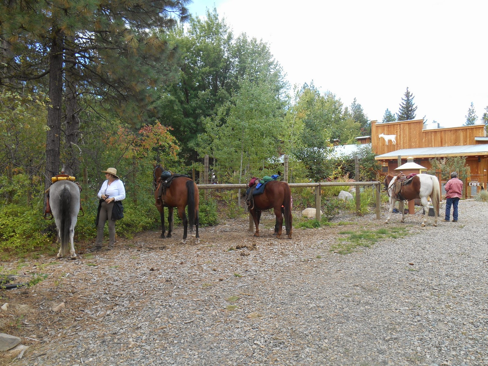 Methow Valley Back Country Horsemen: Goat Creek Ride