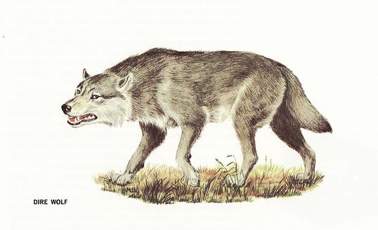 Lovely Animal: Extinction Animals in South America