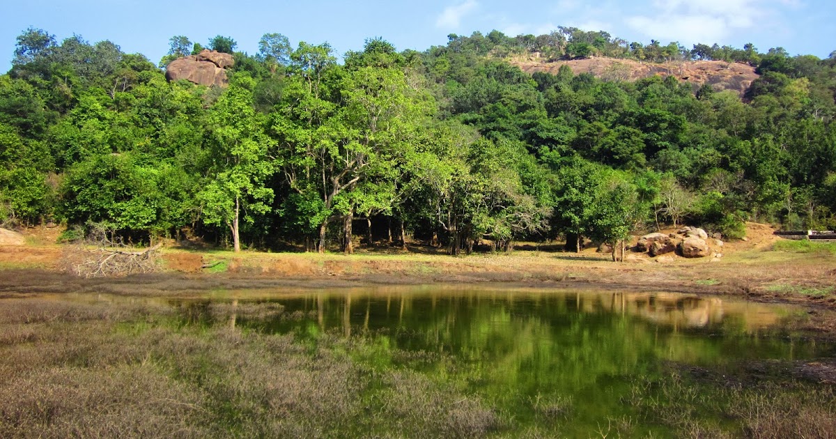 Pakkarent - Blog: Jawadhu Hills - Landscape Beauty