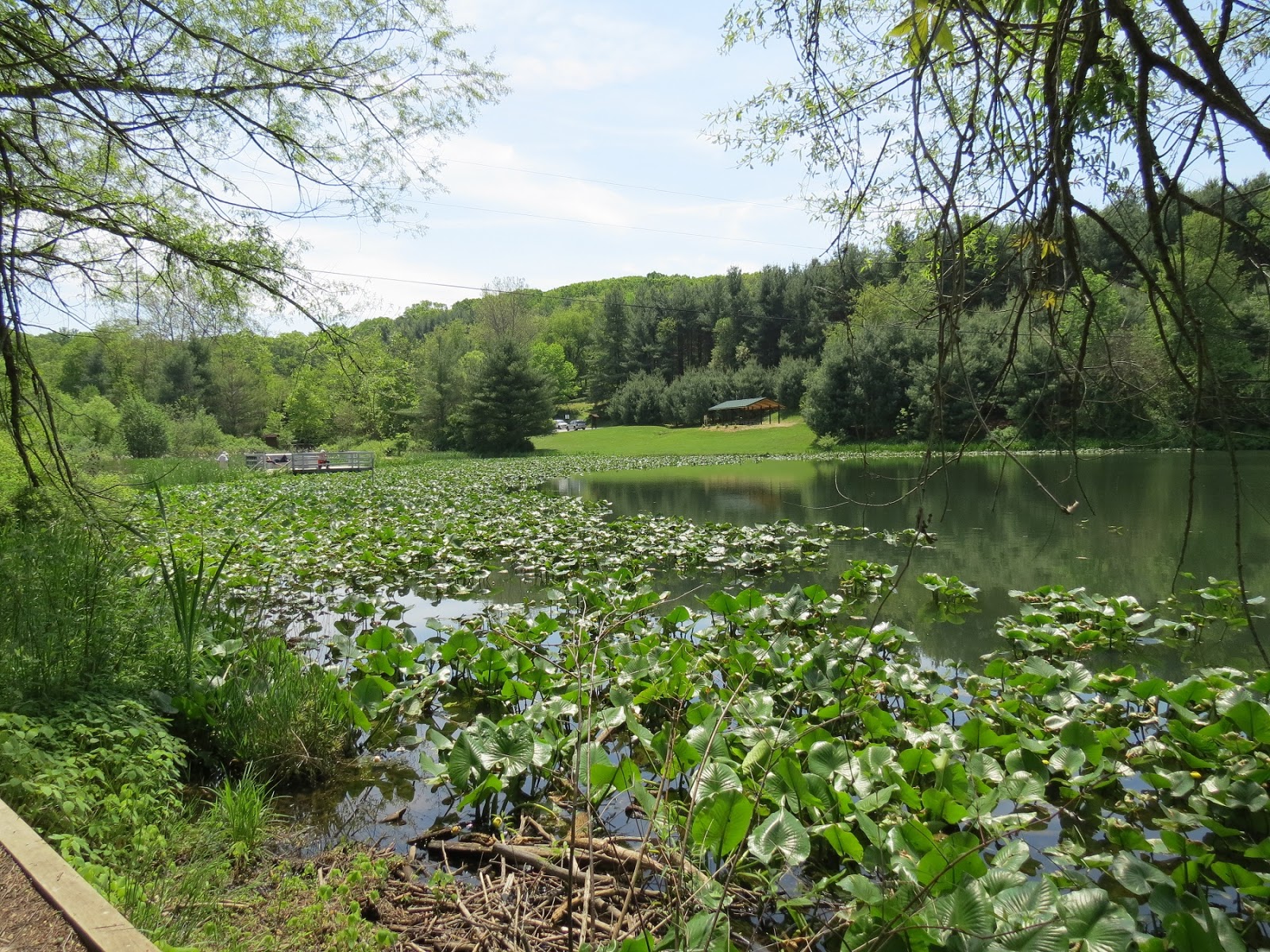 Viewing nature with Eileen: Hashawha Nature Center