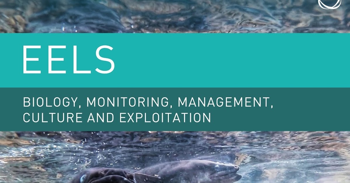 Eels Biology, Monitoring, Management, Culture and Exploitation ...