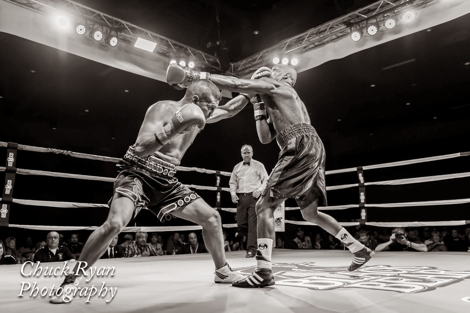 CIIcanoe...: Boxing: Jungle Boy Boxing Presents "The Fall Brawl"