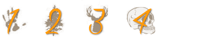 Druckbuchstaben: Auf einer Skala von 1 bis 10 von Ceylan Scott