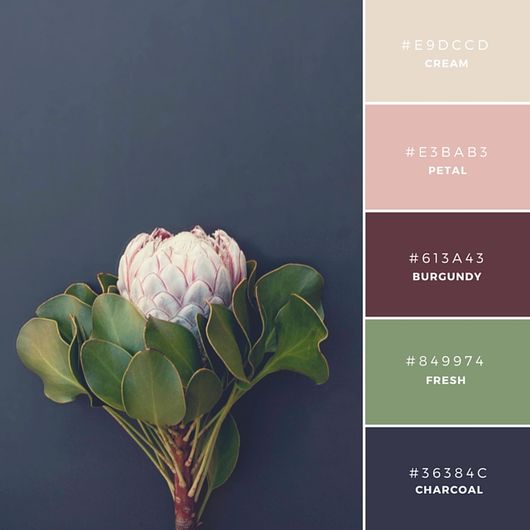 20 Unique and Memorable Color Palettes