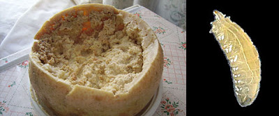 wowboom: ชีส หนอน (Casu Marzu)