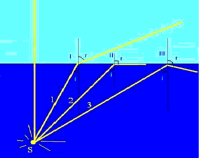 PROWEB: REFLEXIA TOTALA