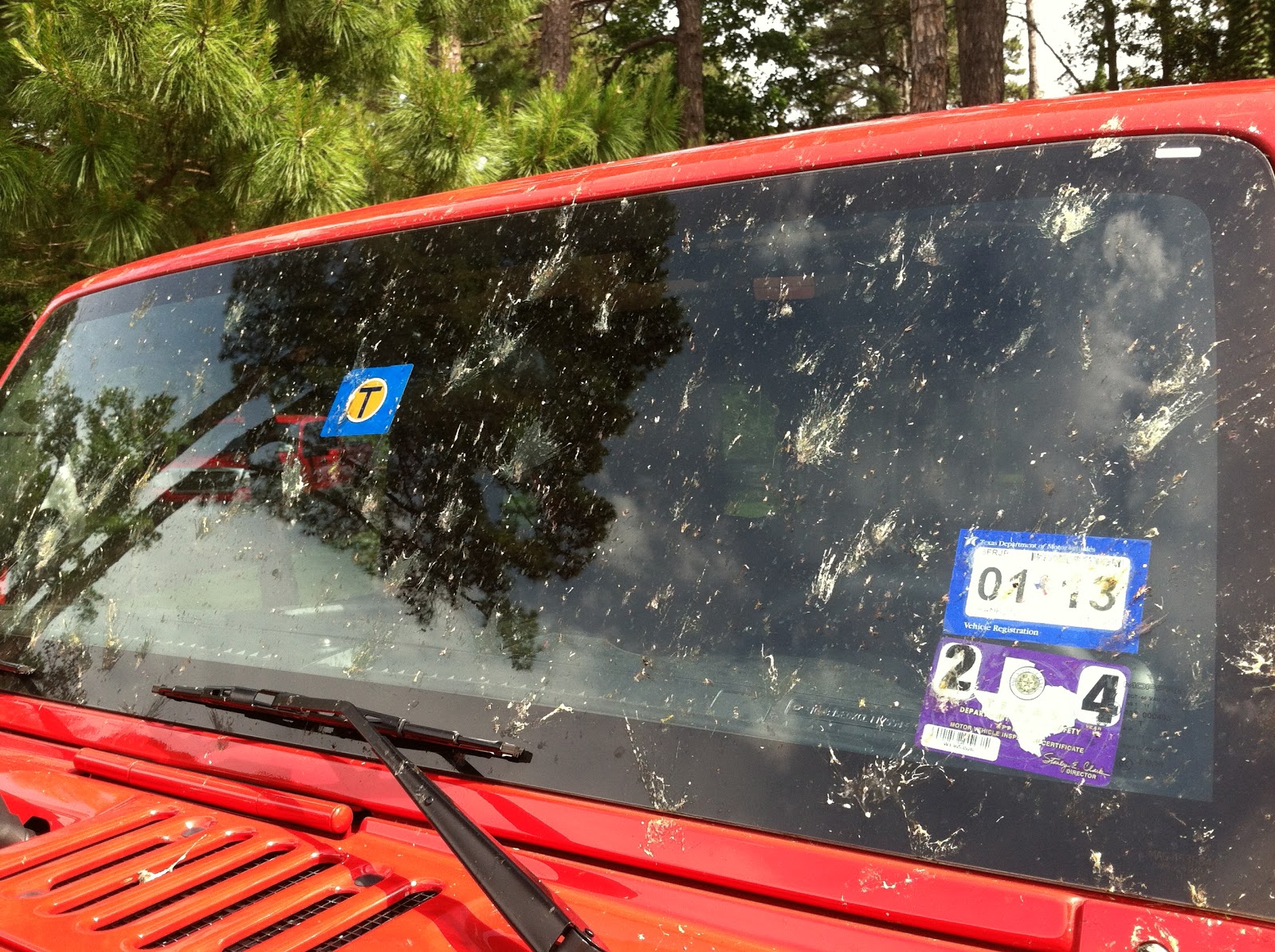 Some Days You're The Bug...... | Murphys Mom