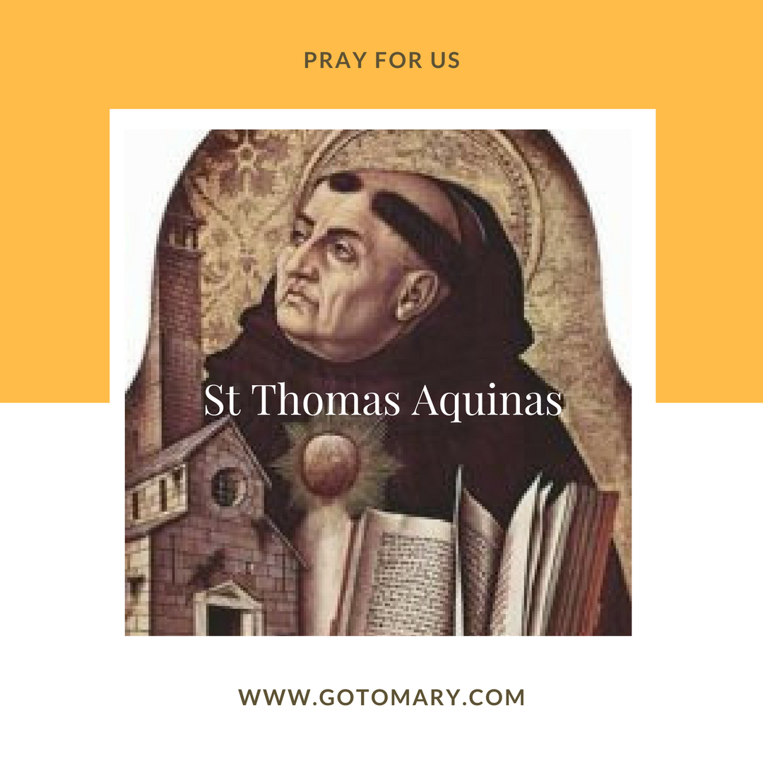 Saint Thomas Aquinas - Go to Mary Blog