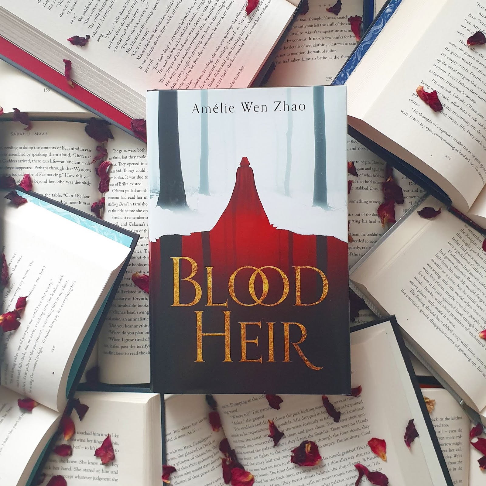 BLOOD HEIR (BLOOD HEIR #1) ♦ AMELIE WEN ZHAO (VO)