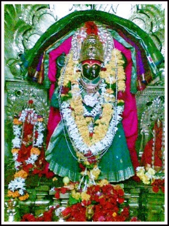 AUDUMBAR - Amazing Maharashtra