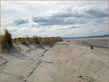 Camerons Cottage Diary Loch Ness: Culbin sands Nature Reserve.